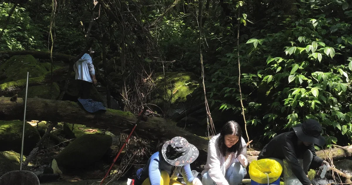 Closing the Gap Between Biodiversity Commitments and Measuring Nature ...